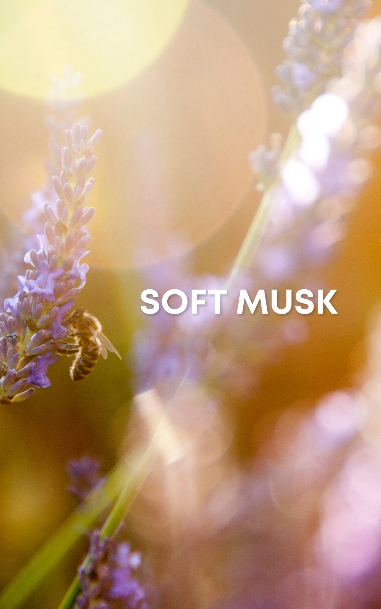 Amethyst Perfume Sample | Light Floral | The Sage Lifestyle
