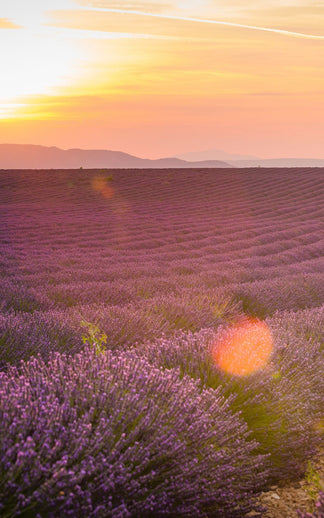 Garnet & Amethyst Blend Perfume Oil Concentrate Sample by Sage – The ...